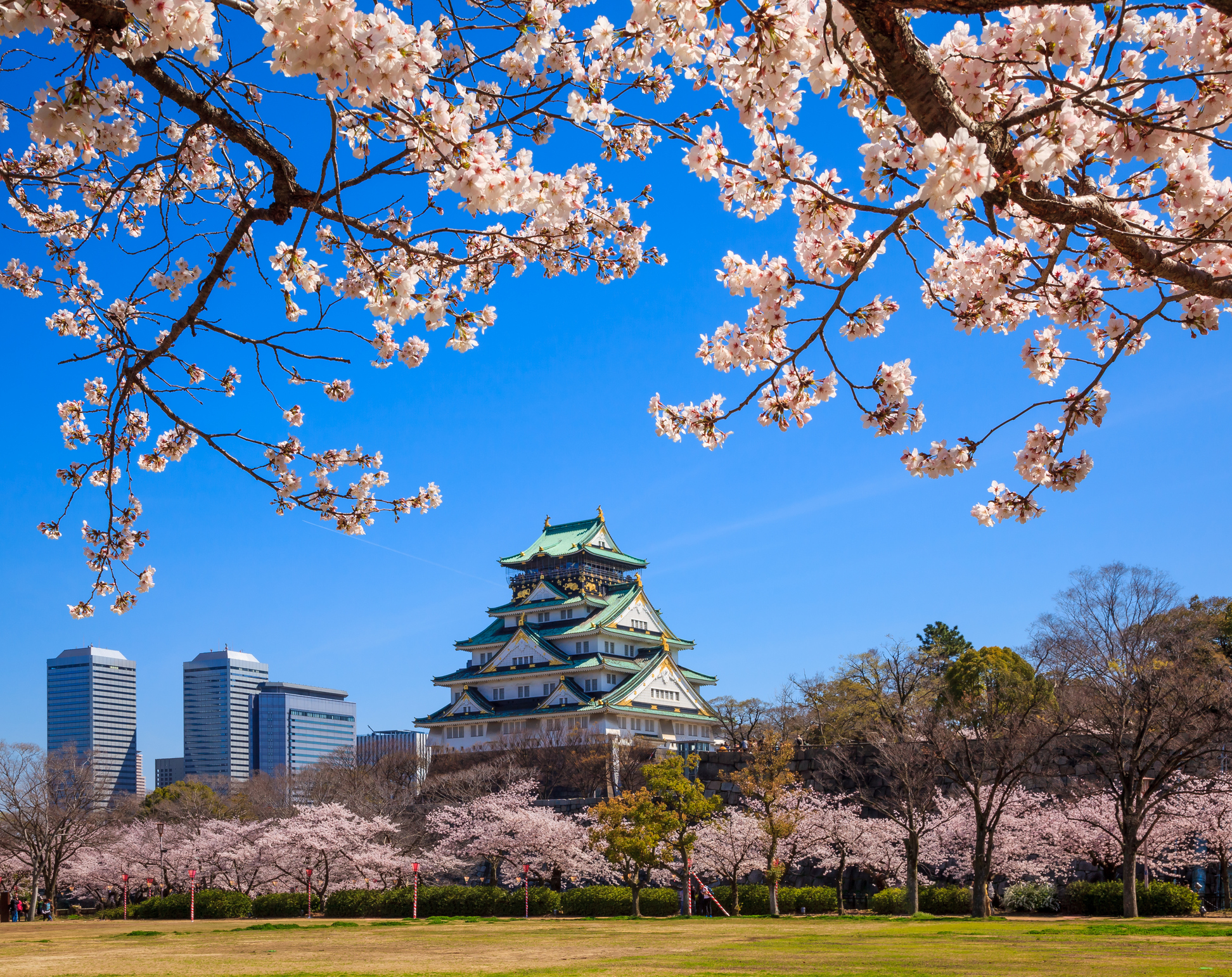 Culture & History | Gaba Teaching in Japan
