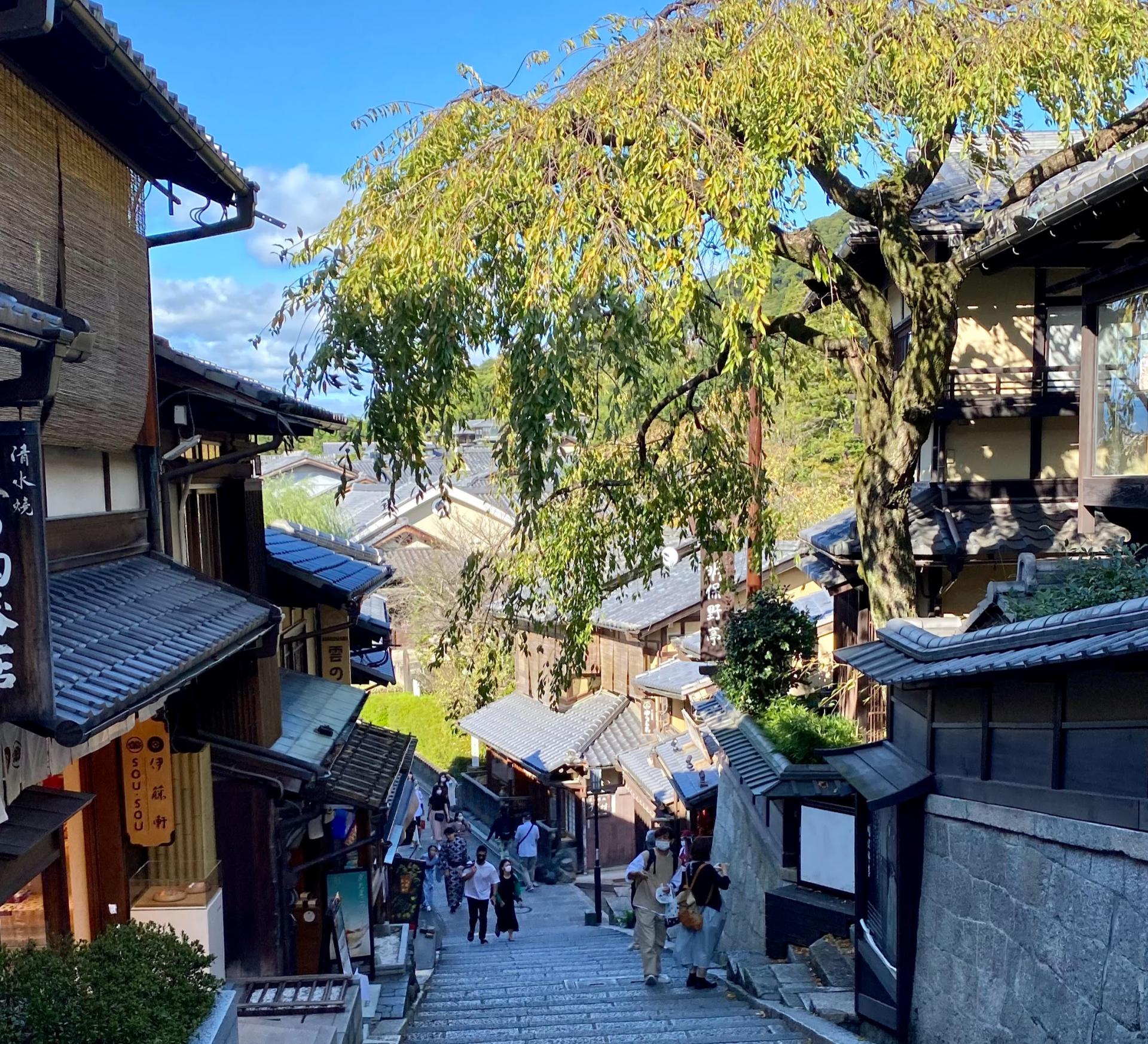 Instructor Journeys: Meet our instructor Mess! | Gaba Teaching in Japan