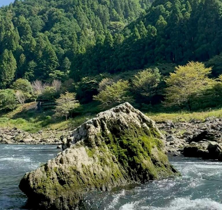 Mook's Instructor Journeys: Riding the Rapids of Hozu River | Gaba ...